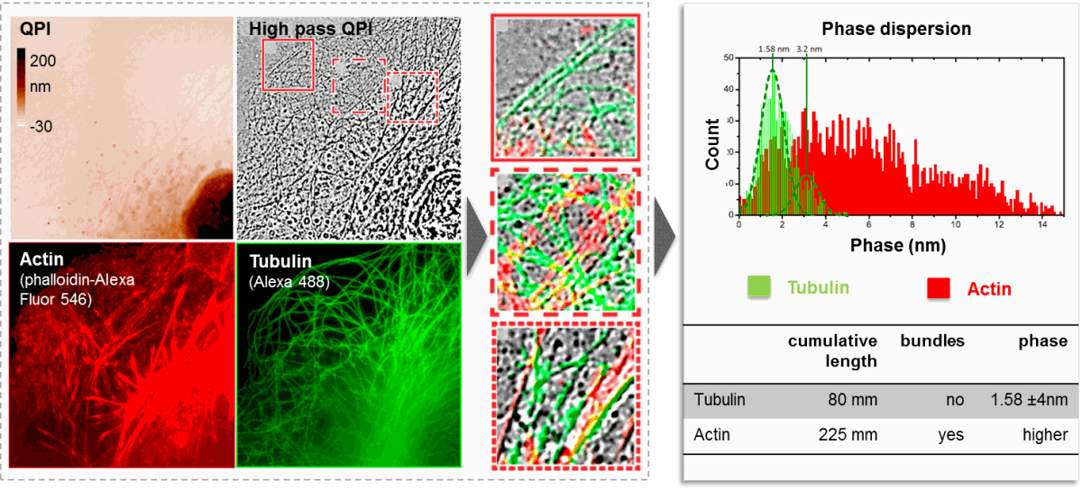 SID4Bio定量相位成像即插即用相机 | CoreAb|北京沫之东生物技术有限公司官网